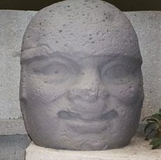 Olmec Colossal Stone Heads – Mexico Unexplained