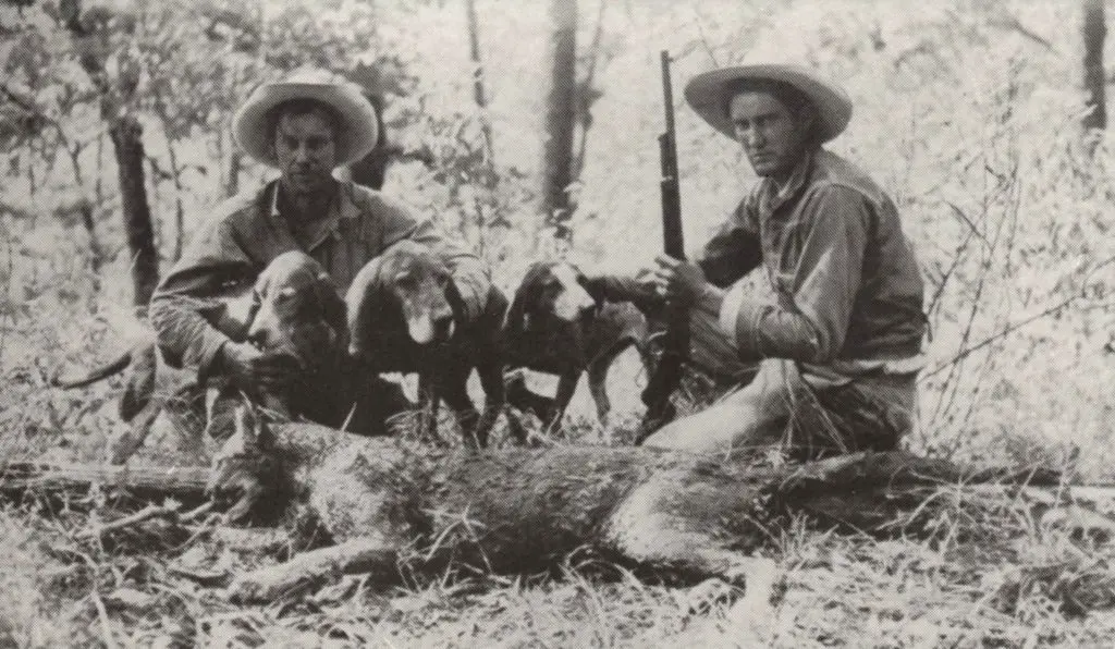 The Mexican Onza, Big Cat of Legend? – Mexico Unexplained