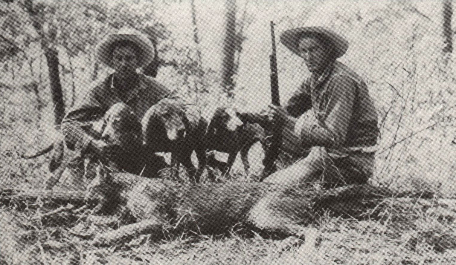 The Mexican Onza, Big Cat of Legend? – Mexico Unexplained