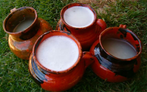 Pulque, Drink of the Gods – Mexico Unexplained