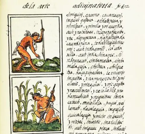 Chinampas, Floating Gardens of Ancient Mexico – Mexico Unexplained