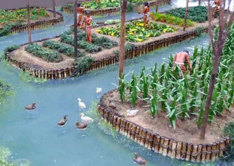 Chinampas, Floating Gardens of Ancient Mexico – Mexico Unexplained