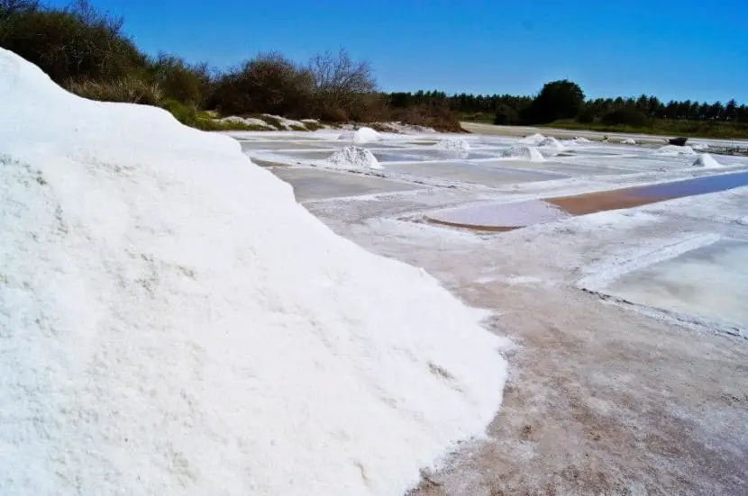 El Calón: Pyramid Made of Seashells – Mexico Unexplained