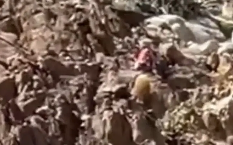 Hombre Pájaro, Mexico’s Bird Man Creature – Mexico Unexplained