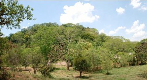 El Manatí, Sacred Swamp of the Olmecs – Mexico Unexplained